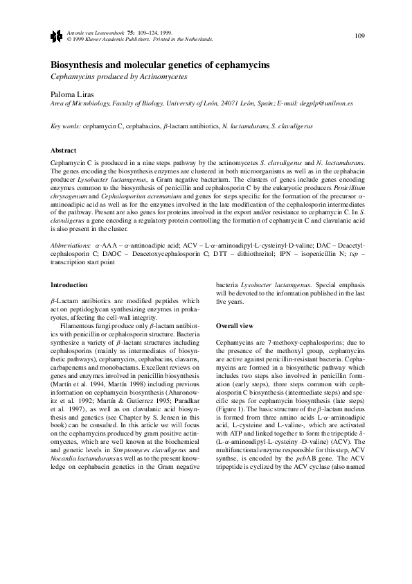 (PDF) Biosynthesis and molecular genetics of cephamycins