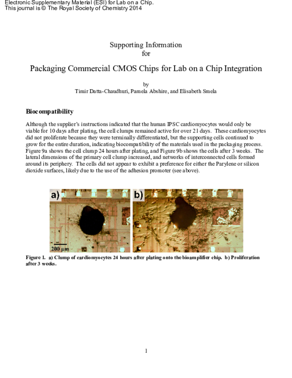 (PDF) Packaging commercial CMOS chips for lab on a chip integration