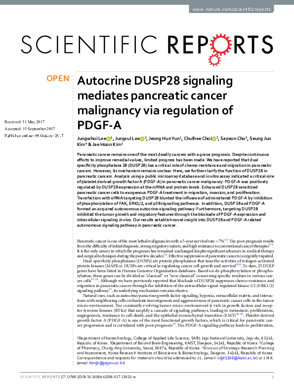 (PDF) Freedom from Social Echo Chambers: Policy Implications of an Algorithmic Bias