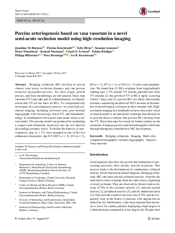 (PDF) Porcine arteriogenesis based on vasa vasorum in a novel semi ...