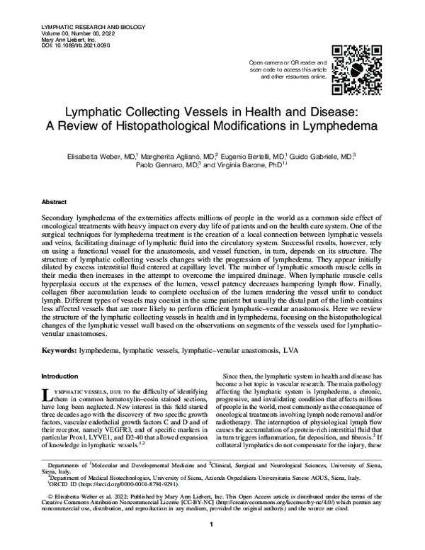 (PDF) Lymphatic Collecting Vessels in Health and Disease: A Review of ...