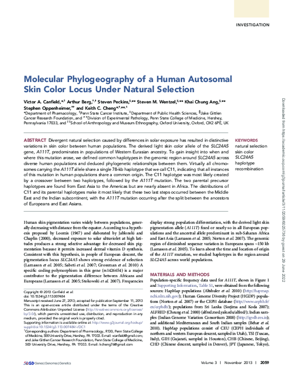 (PDF) Molecular Phylogeography of a Human Autosomal Skin Color Locus ...