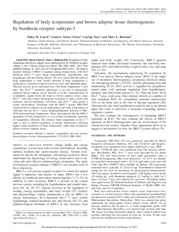 (PDF) Regulation of body temperature and brown adipose tissue ...