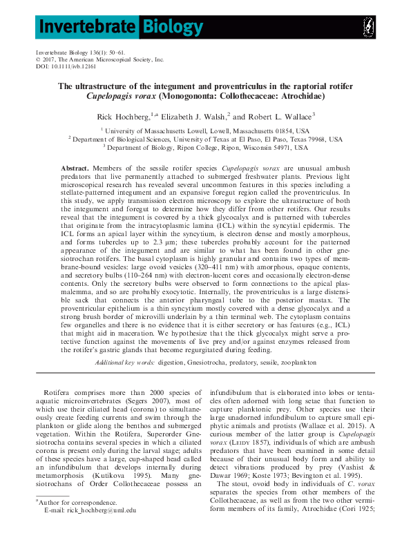 (PDF) The ultrastructure of the integument and proventriculus in the ...