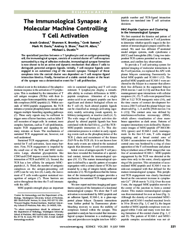 (PDF) The immunological synapse: A molecular machine controlling T cell activation