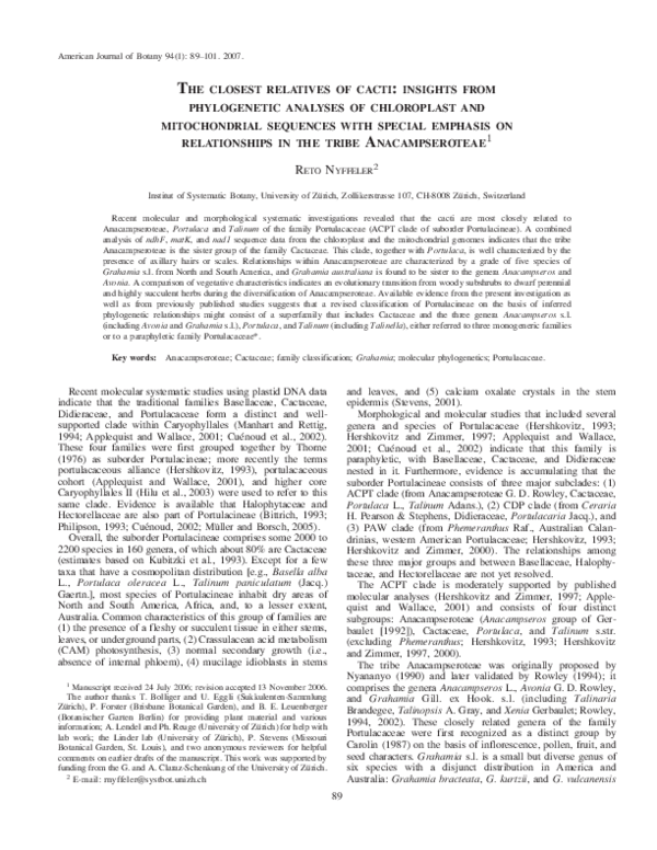 (PDF) The closest relatives of cacti: insights from phylogenetic ...