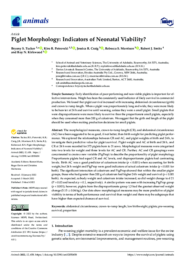 (PDF) Piglet Morphology: Indicators of Neonatal Viability? | KIRO ...