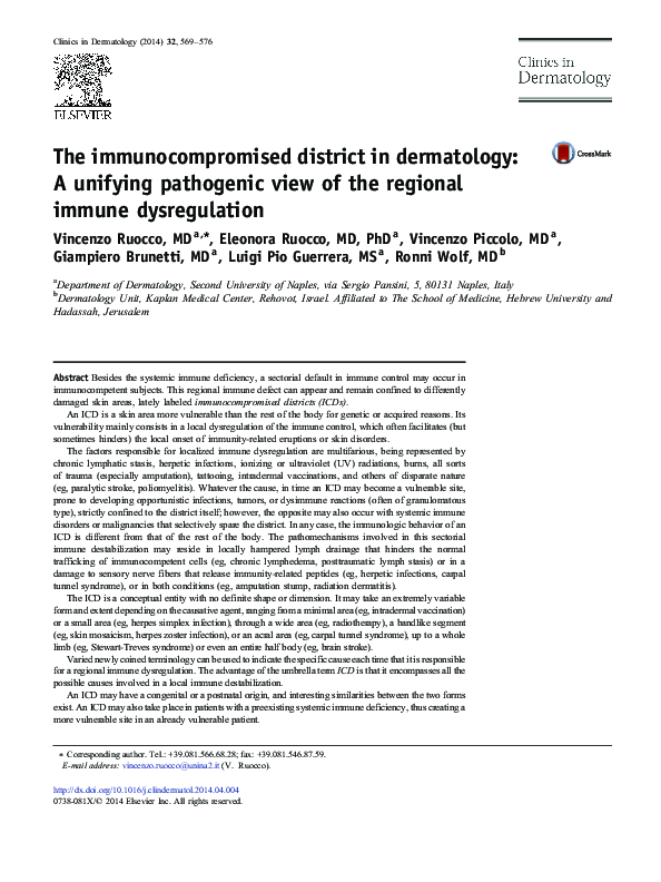 (PDF) The immunocompromised district in dermatology: A unifying ...