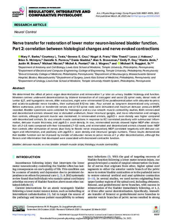 (PDF) Nerve transfer for restoration of lower motor neuron-lesioned ...