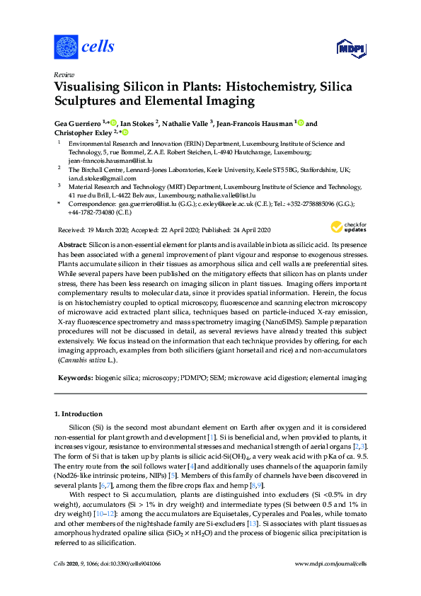 (PDF) Visualising Silicon in Plants: Histochemistry, Silica Sculptures ...