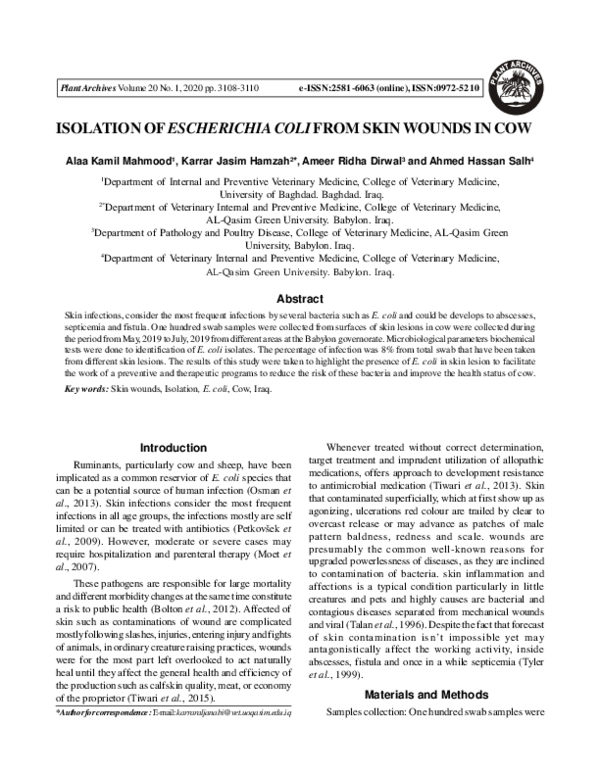 (PDF) ISOLATION OF ESCHERICHIA COLI FROM SKIN WOUNDS IN COW