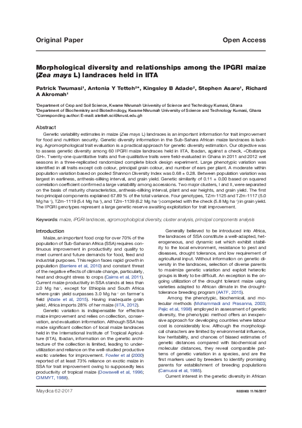 (PDF) Morphological diversity and relationships among the IPGRI maize ...