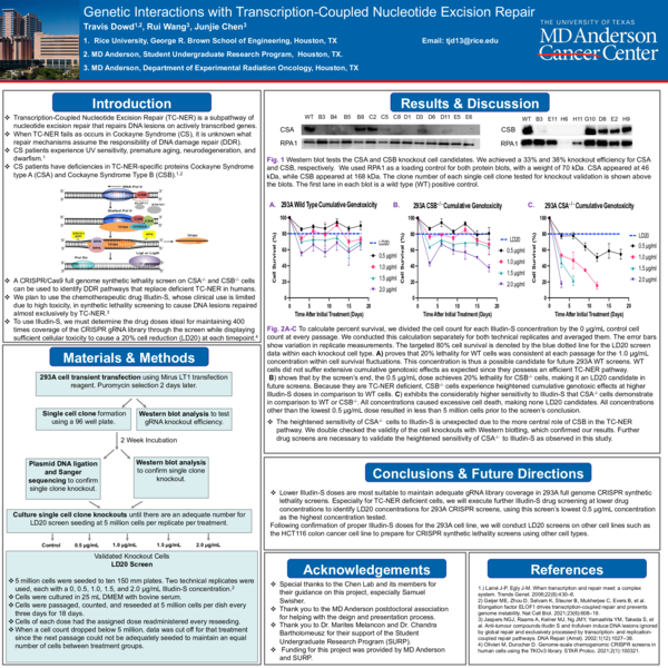 (PDF) Genetic Interactions with Transcription-Coupled Nucleotide ...