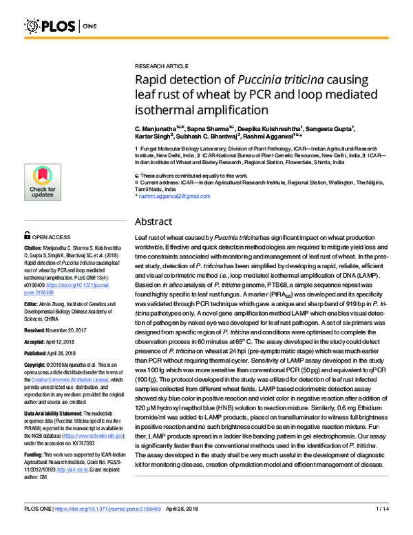 (PDF) Rapid detection of Puccinia triticina causing leaf rust of wheat ...