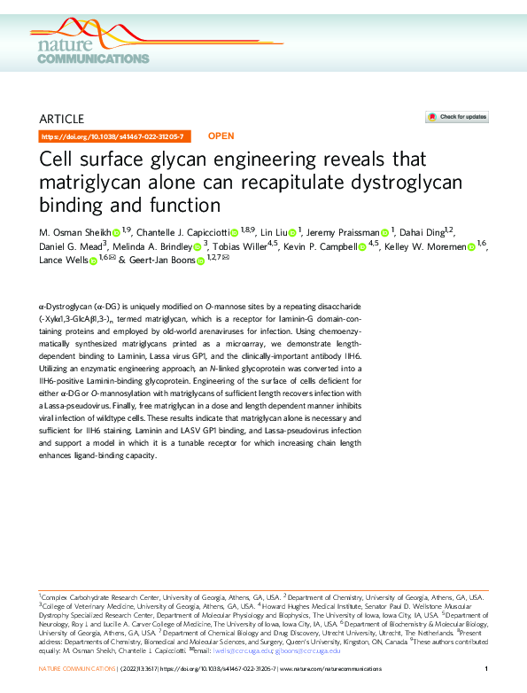 (PDF) Cell surface glycan engineering reveals that matriglycan alone ...