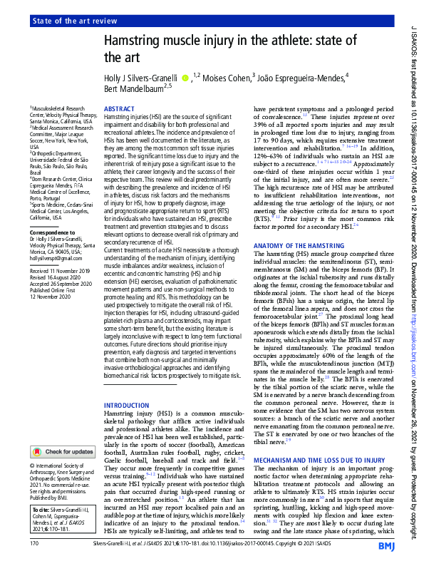 (PDF) Hamstring muscle injury in the athlete: state of the art