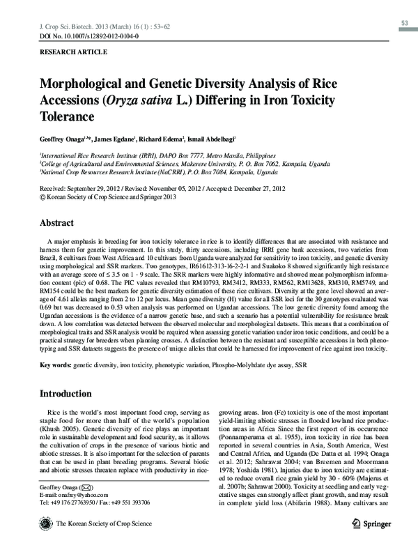 (PDF) Morphological and genetic diversity analysis of rice accessions (Oryza sativa L ...