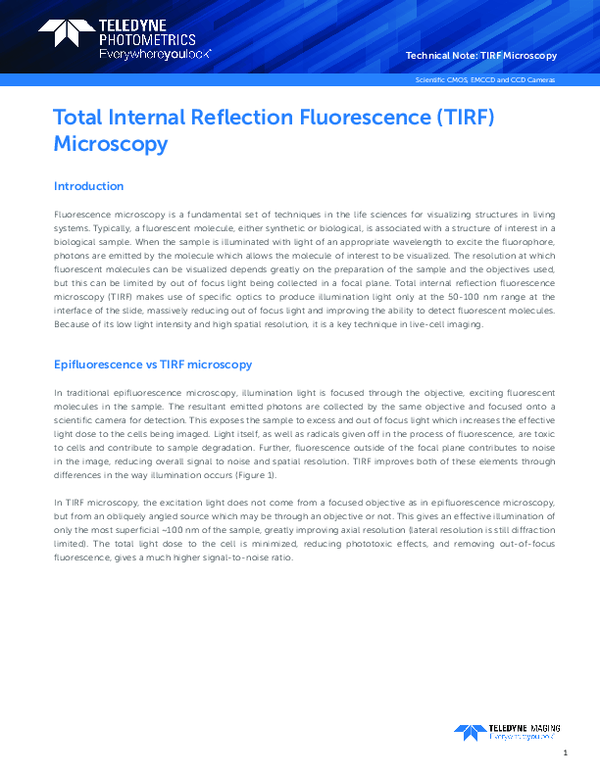 (PDF) Total Internal Reflection Fluorescence (TIRF) Microscopy