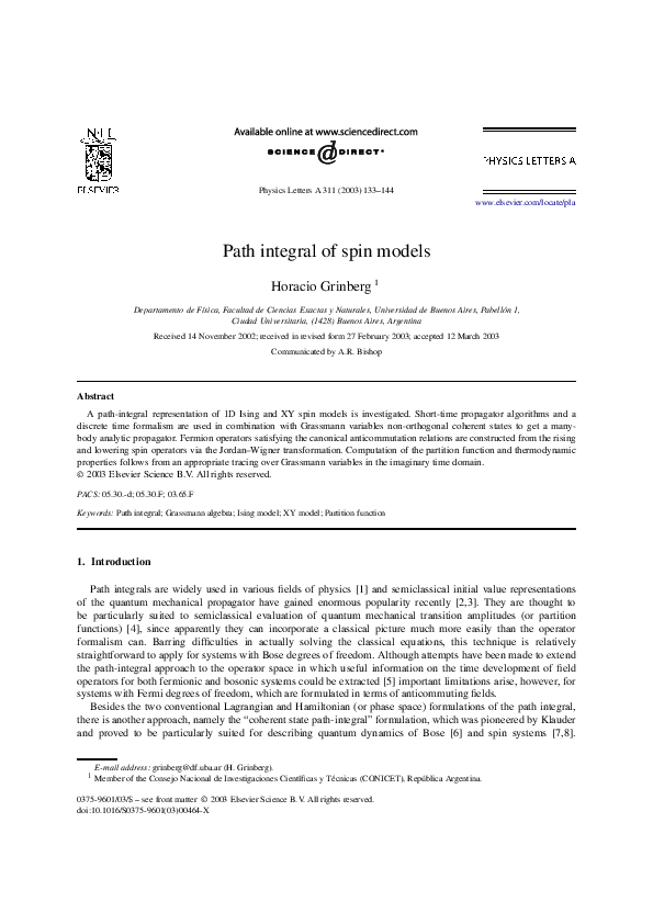 (PDF) Path integral of spin models