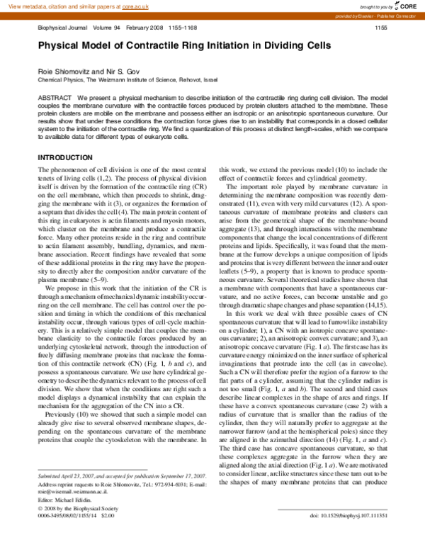(PDF) Physical Model of Contractile Ring Initiation in Dividing Cells