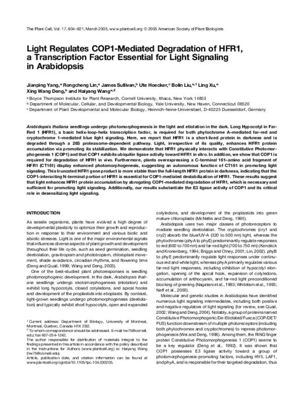 (PDF) Light Regulates COP1-Mediated Degradation of HFR1, a ...