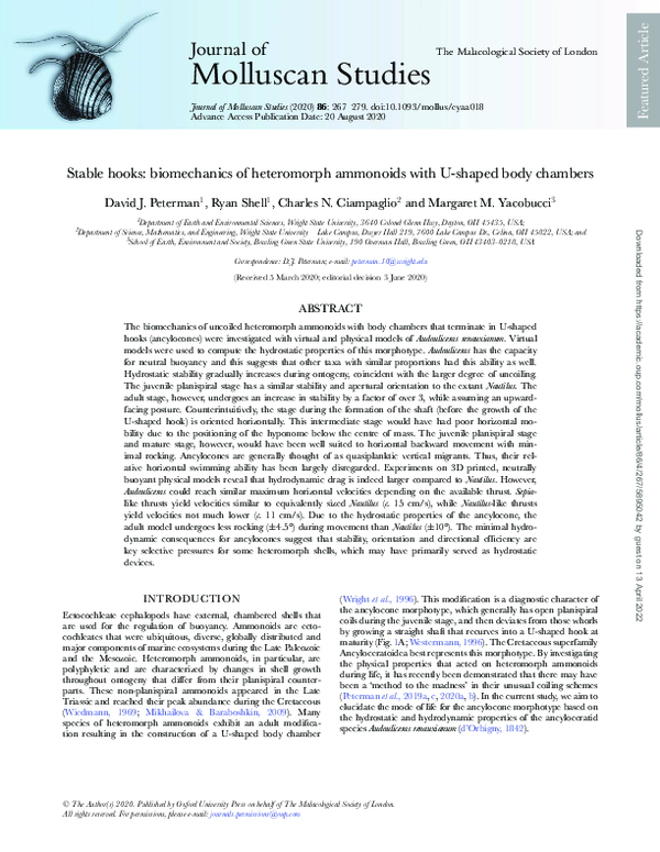 (PDF) Stable hooks: biomechanics of heteromorph ammonoids with U-shaped ...