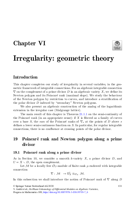 (PDF) Irregularity: geometric theory