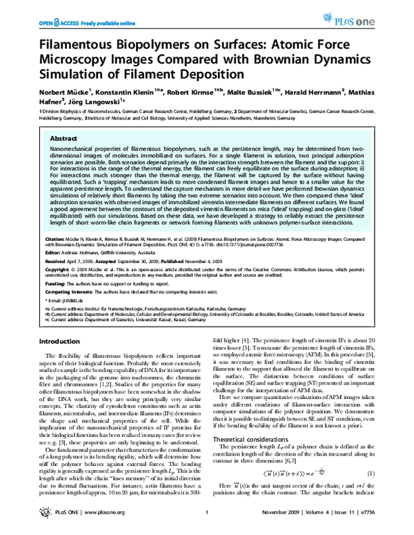 Pdf Filamentous Biopolymers On Surfaces Atomic Force Microscopy Images Compared With Brownian