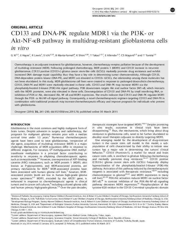 (PDF) CD133 and DNA-PK regulate MDR1 via the PI3K- or Akt-NF-κB pathway ...