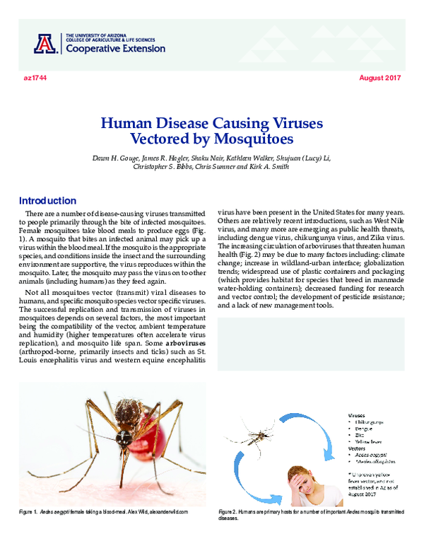 (PDF) Human Disease Causing Viruses Vectored by Mosquitoes