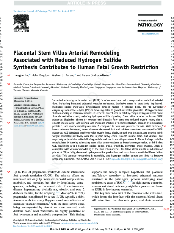 (PDF) Placental Stem Villus Arterial Remodeling Associated with Reduced ...
