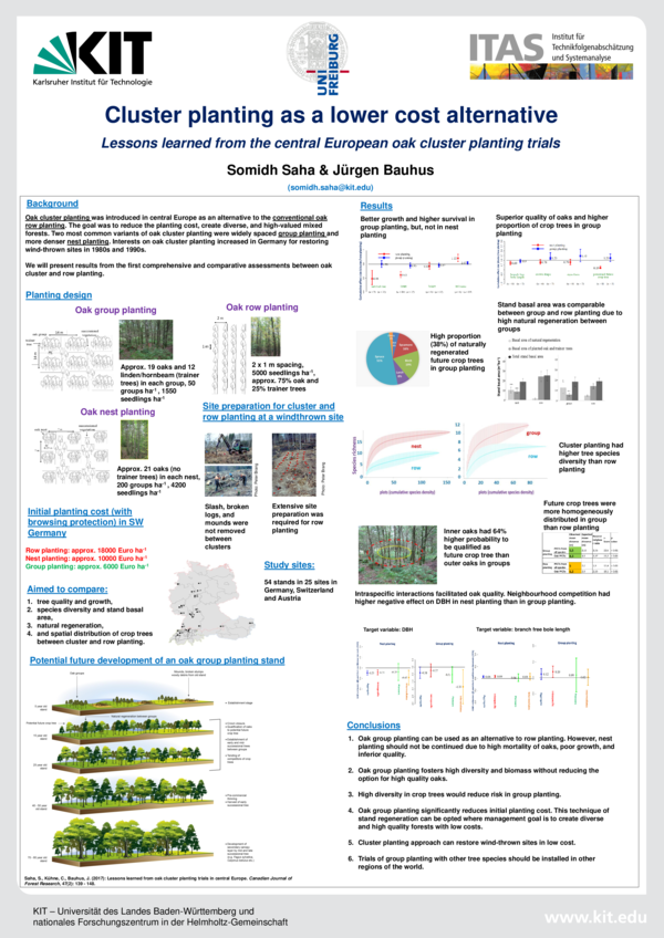 (PDF) Lessons learned from the central European oak cluster planting ...