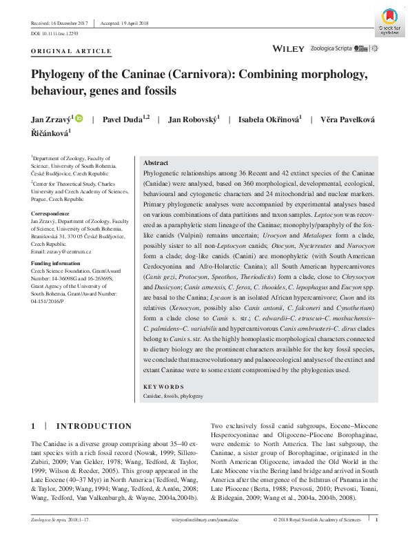 (PDF) Phylogeny of the Caninae (Carnivora): Combining morphology ...