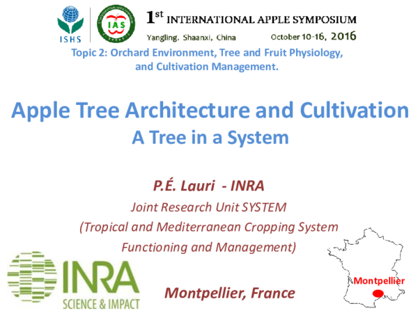 (PDF) Apple tree architecture and cultivation – a tree in a system