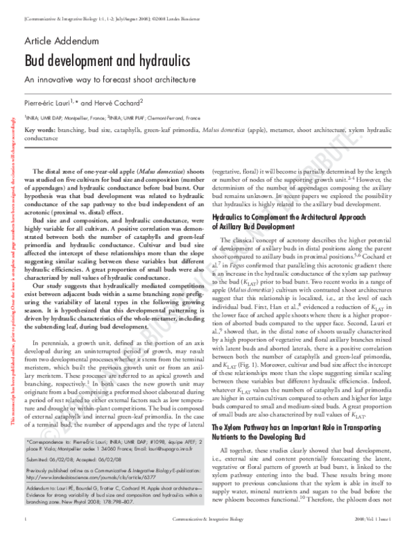 (PDF) Bud development and hydraulics: An innovative way to forecast ...