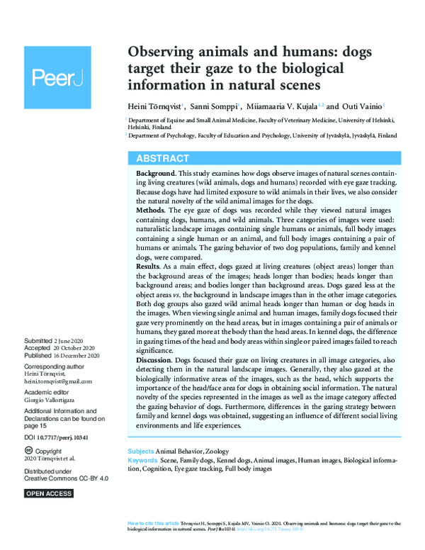 (PDF) Observing animals and humans: dogs target their gaze to the ...