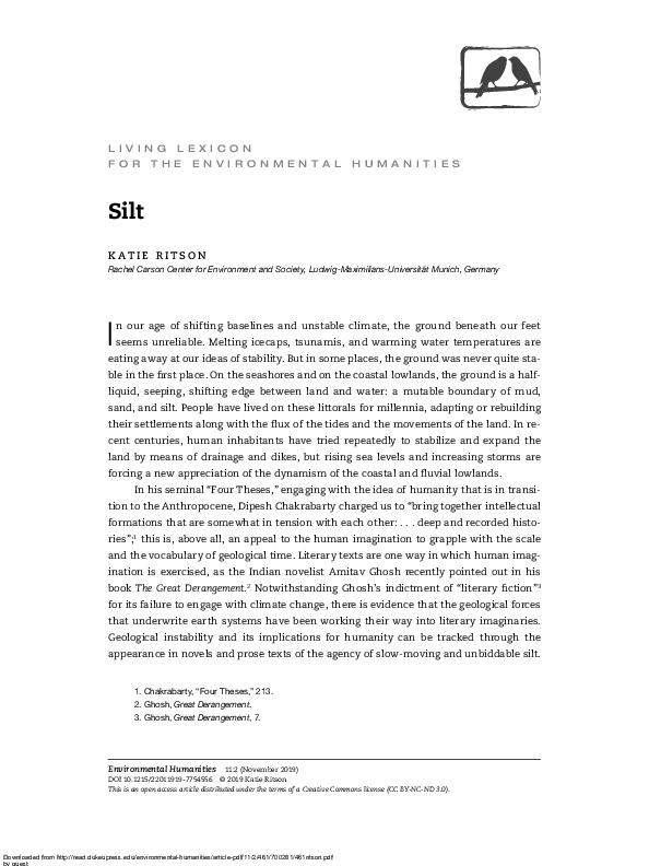 (PDF) Silt