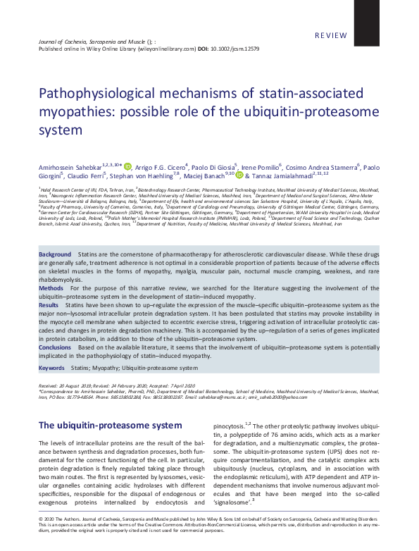 (PDF) Pathophysiological mechanisms of statin‐associated myopathies ...