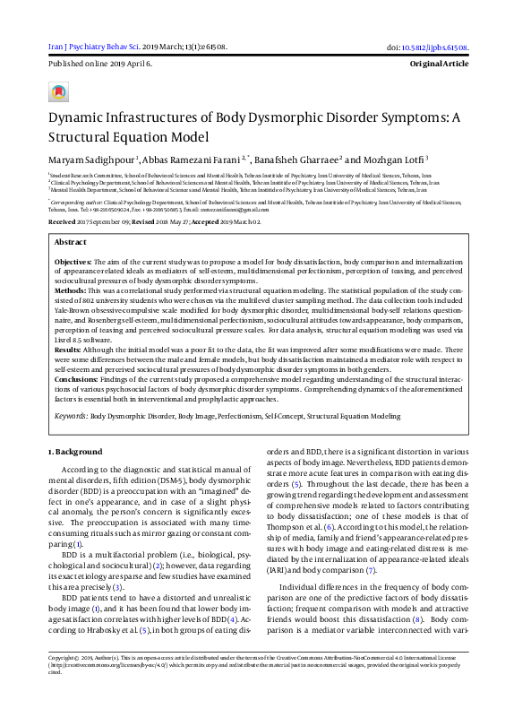 (PDF) Modeling Body Dysmorphic Disorder Dynamics