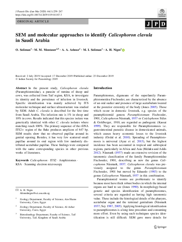 (PDF) SEM and molecular approaches to identify Calicophoron clavula in ...