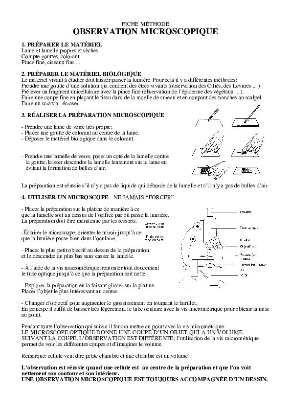 (PDF) OBSERVATION MICROSCOPIQUE