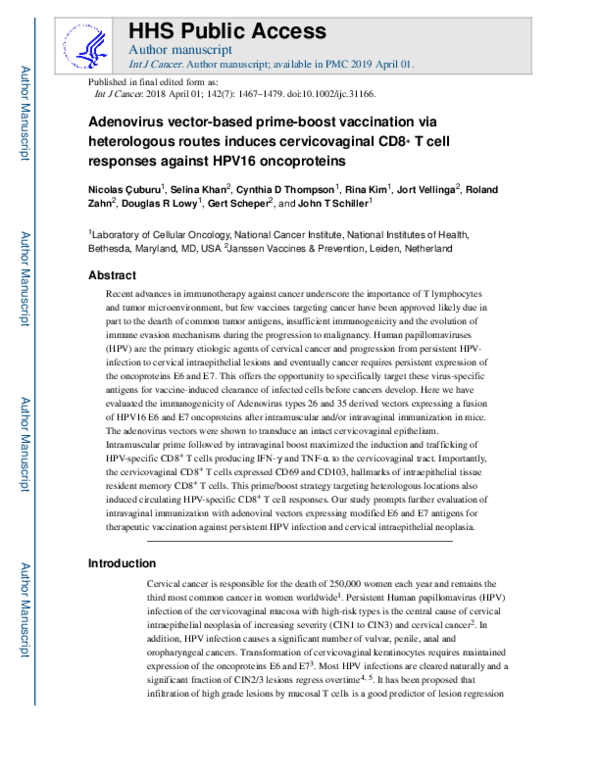 (PDF) Implementation of an on-line remote control ground station for ...