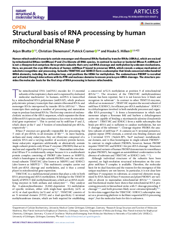 (PDF) Structural basis of RNA processing by human mitochondrial RNase P