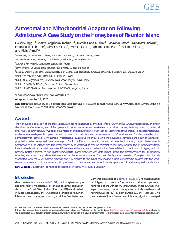 (PDF) Autosomal and mitochondrial adaptation following admixture: a ...