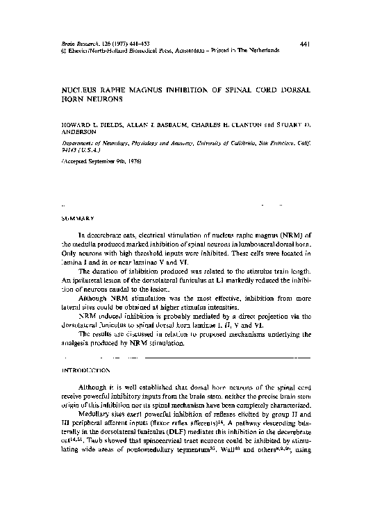 (PDF) Nucleus raphe magnus inhibition of spinal cord dorsal horn neurons