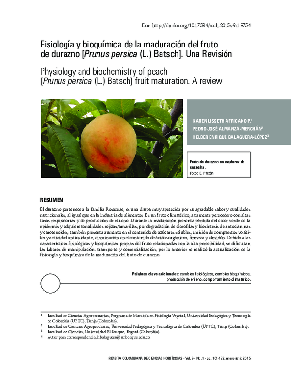 (PDF) Fisiología y bioquímica de la maduración del fruto de durazno (Prunus persica (L.) Batsch ...