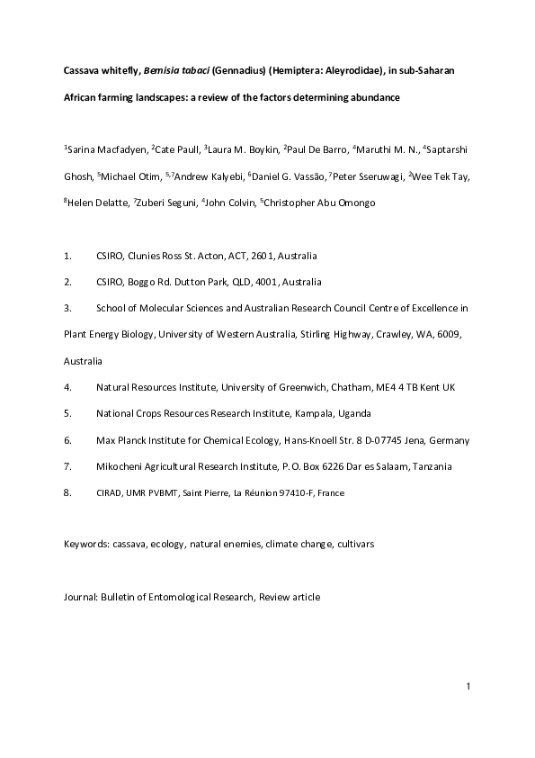 (PDF) Cassava whitefly, Bemisia tabaci (Gennadius) (Hemiptera ...