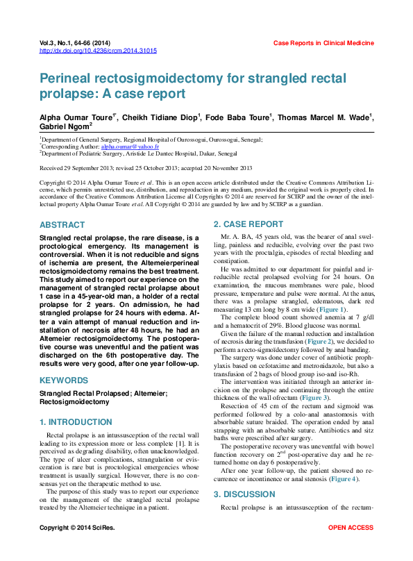 (PDF) Perineal rectosigmoidectomy for strangled rectal prolapse: A case ...