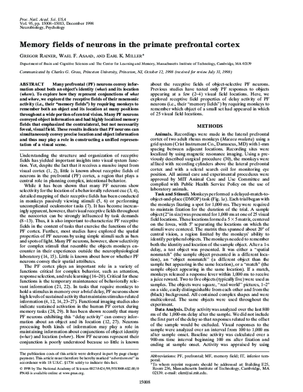 (PDF) Memory fields of neurons in the primate prefrontal cortex