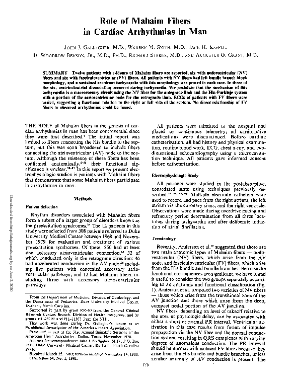 (PDF) Role of Mahaim fibers in cardiac arrhythmias in man